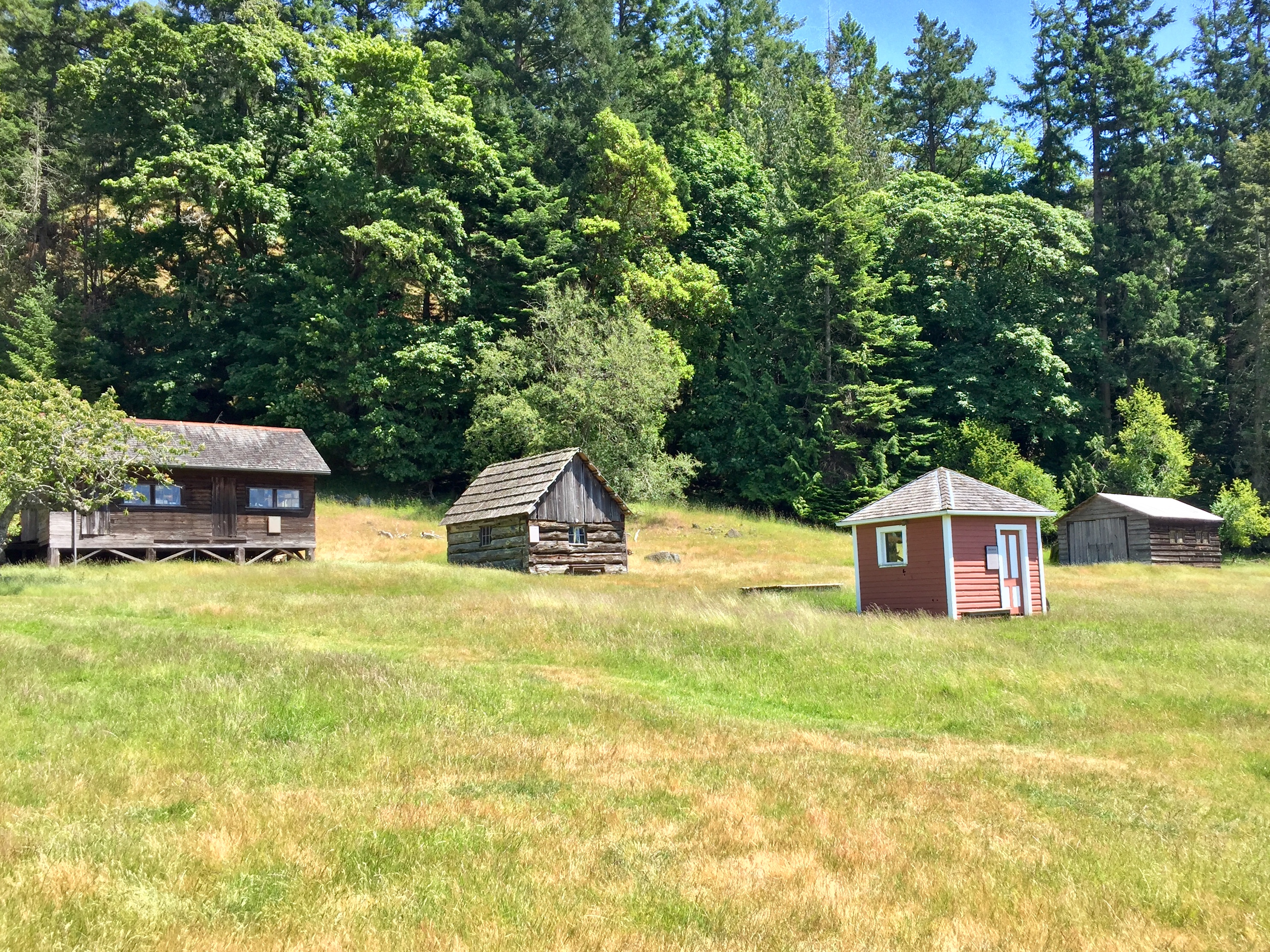 Salt Spring Island – Meandering My Way…