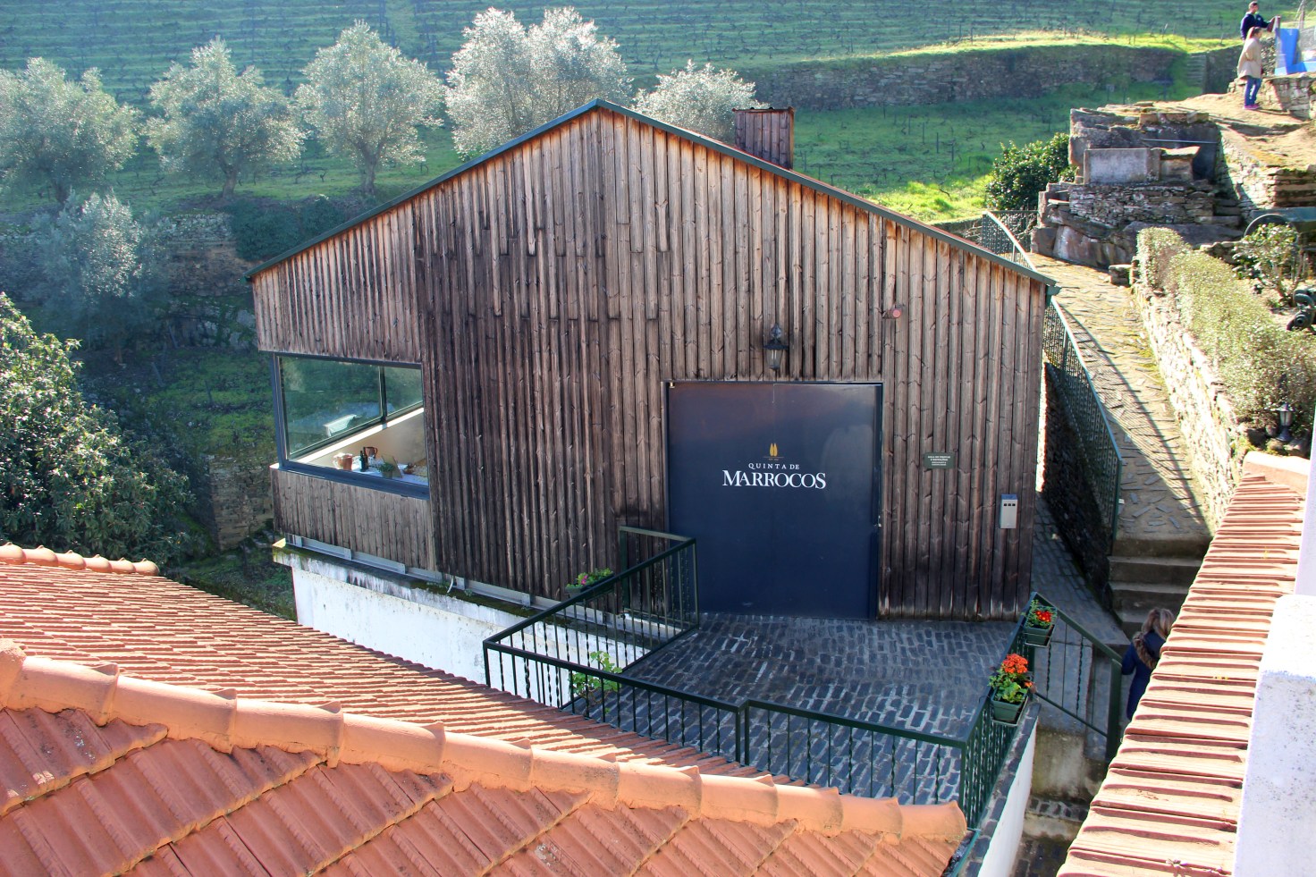 Douro Valley, Portugal – Meandering My Way…