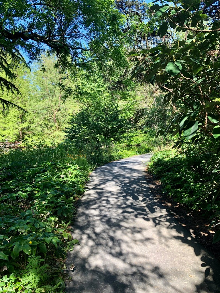 VanDusen Botanical Garden…Springtime Visit – Meandering My Way…