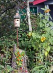Reifel Migratory Bird Sanctuary – Meandering My Way…