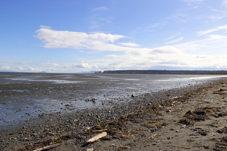 Boundary Bay Regional Park, Delta, B.C. – Meandering My Way…