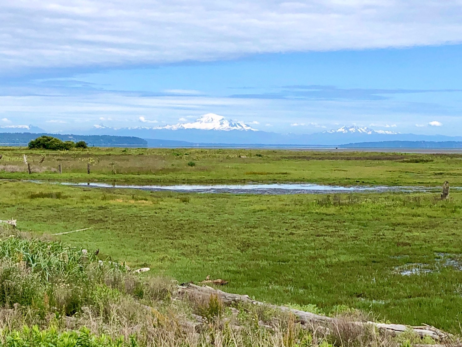 Boundary Bay Regional Park, Delta, B.C. – Meandering My Way…