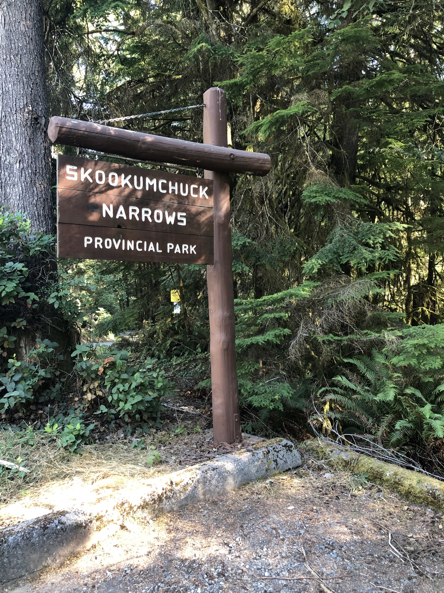 Skookumchuck Narrows, Sunshine Coast, BC – Meandering My Way…