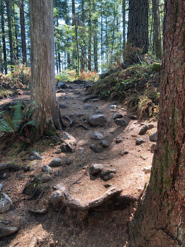 Minnekhada Regional Park, Coquitlam, B.C. – Meandering My Way…
