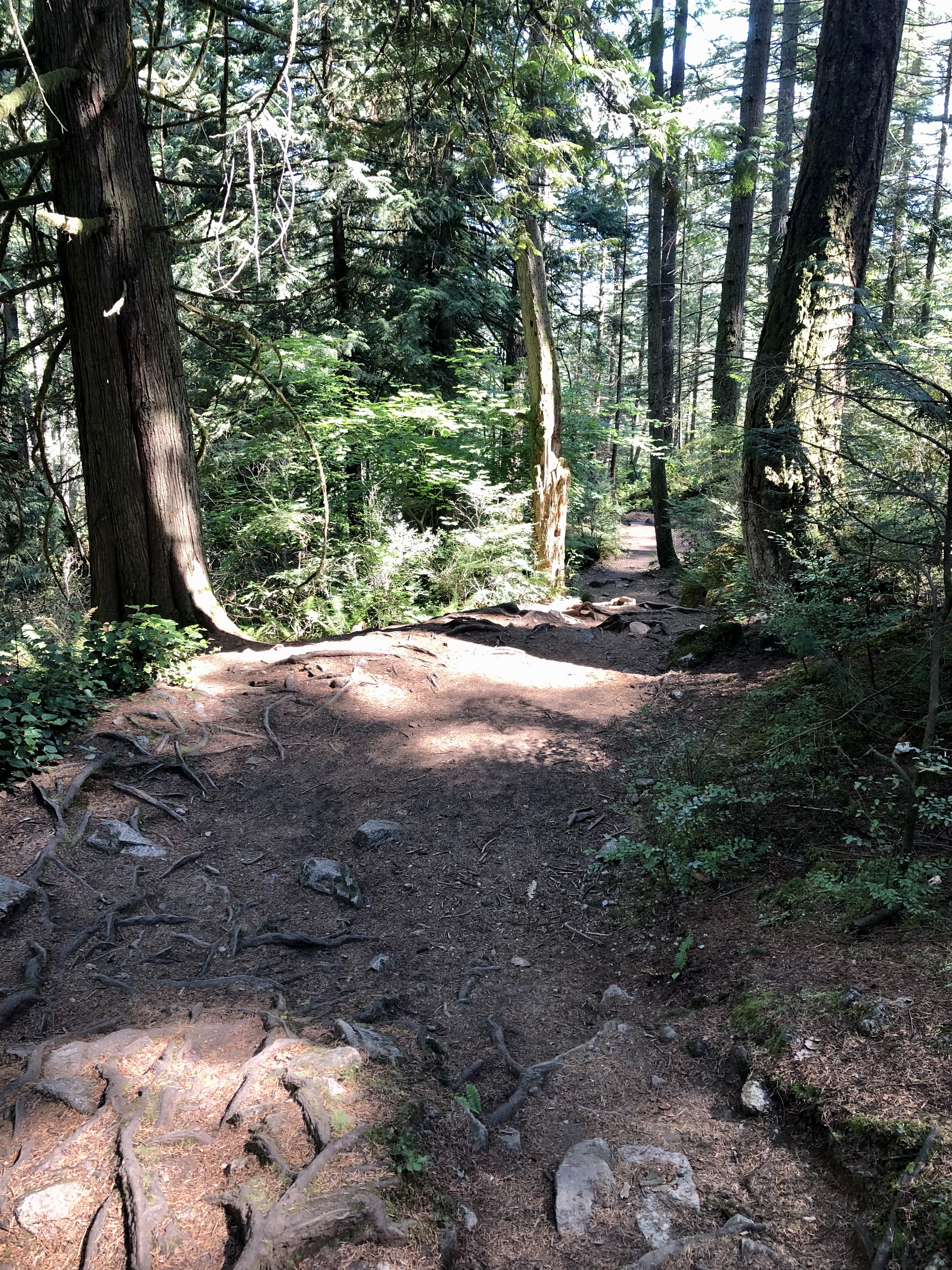 Minnekhada Regional Park, Coquitlam, B.C. – Meandering My Way…