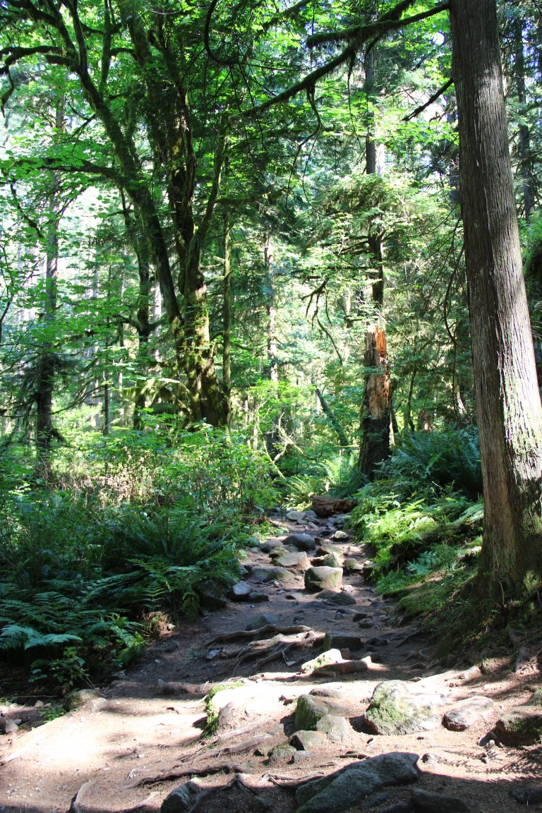 Minnekhada Regional Park, Coquitlam, B.C. – Meandering My Way…
