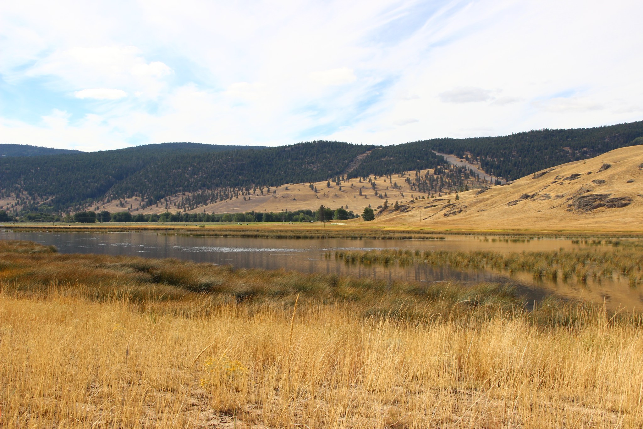 Road-Tripping Along Route 5A – Meandering My Way…