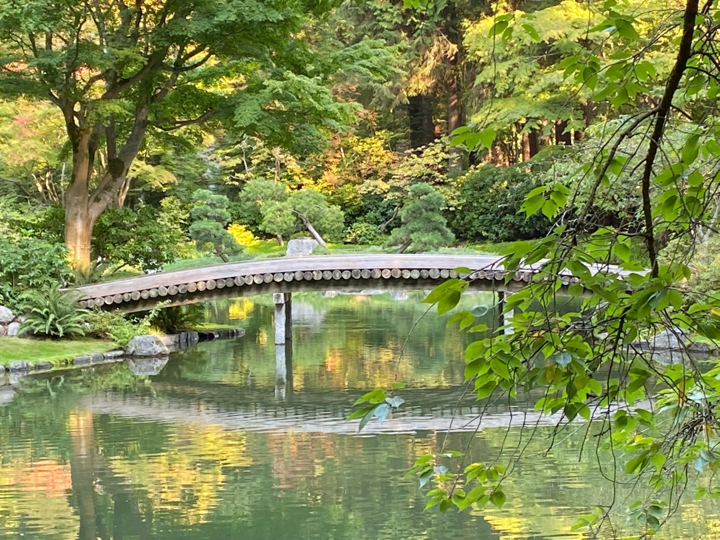 Nitobe Memorial Garden, Vancouver B.C. – Meandering My Way…