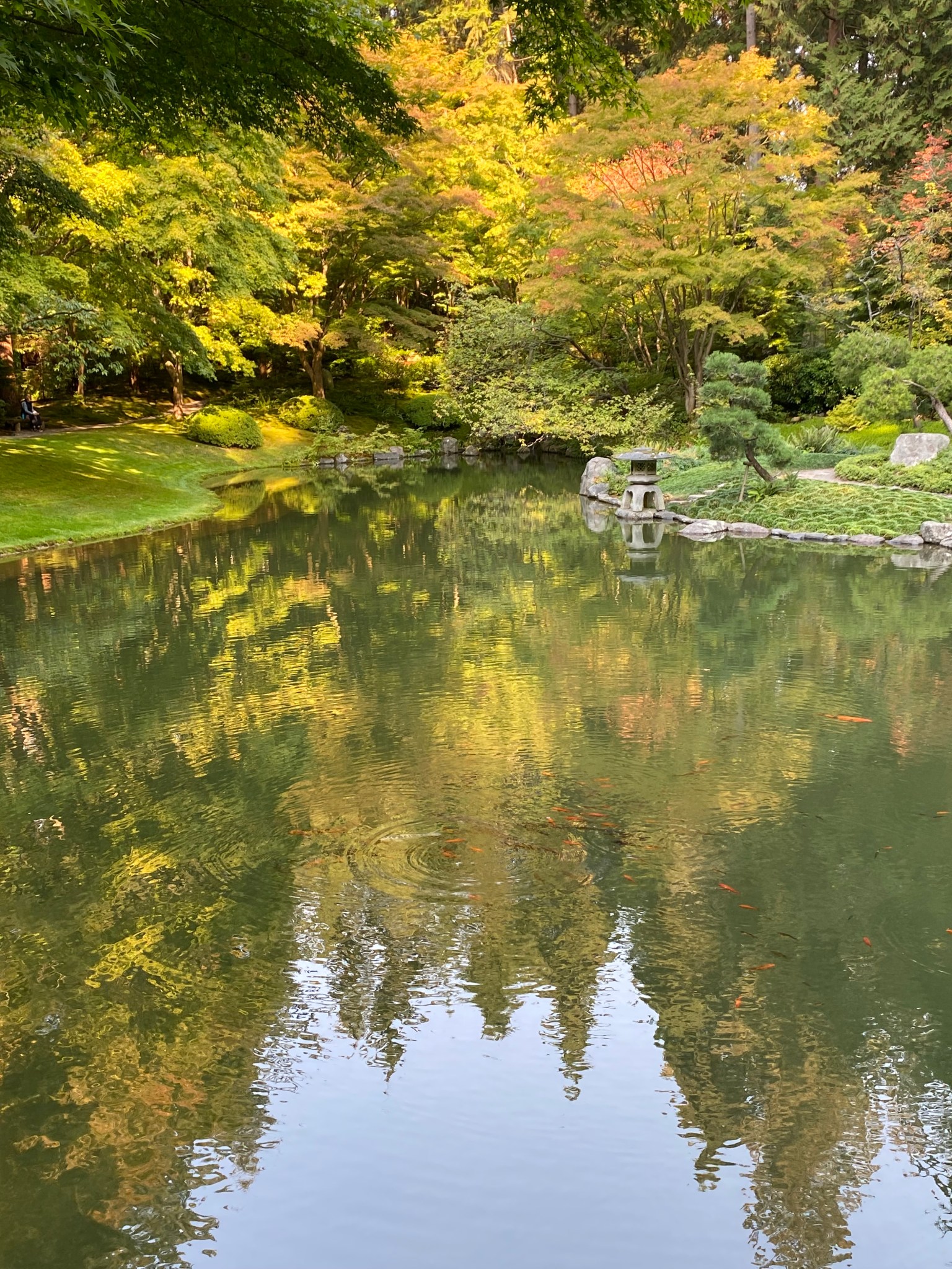 Nitobe Memorial Garden, Vancouver B.C. – Meandering My Way…