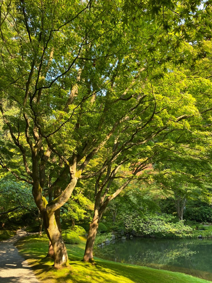 Nitobe Memorial Garden, Vancouver B.C. – Meandering My Way…