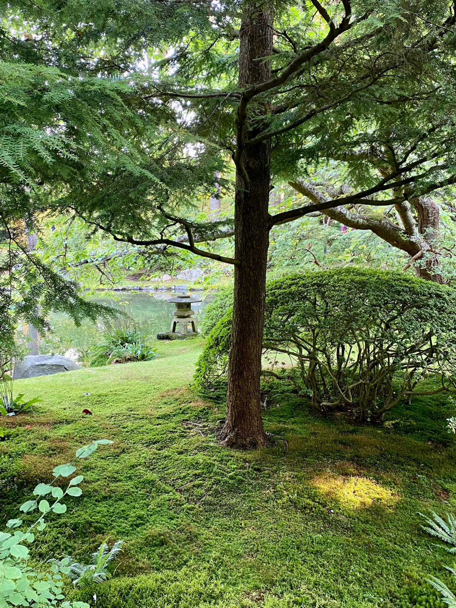 Nitobe Memorial Garden, Vancouver B.C. – Meandering My Way…