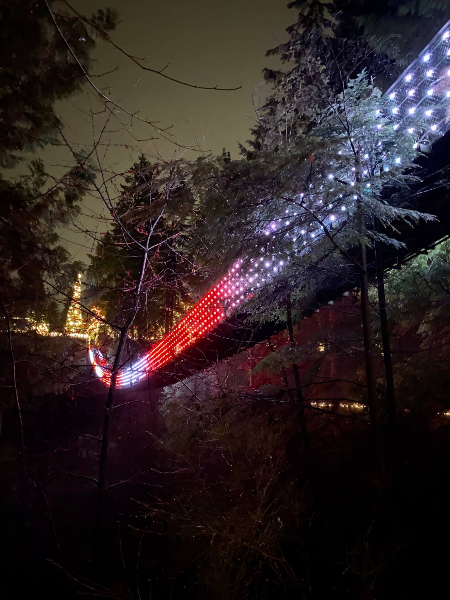 Capilano Suspension Bridge, Vancouver, B.C. – Meandering My Way…