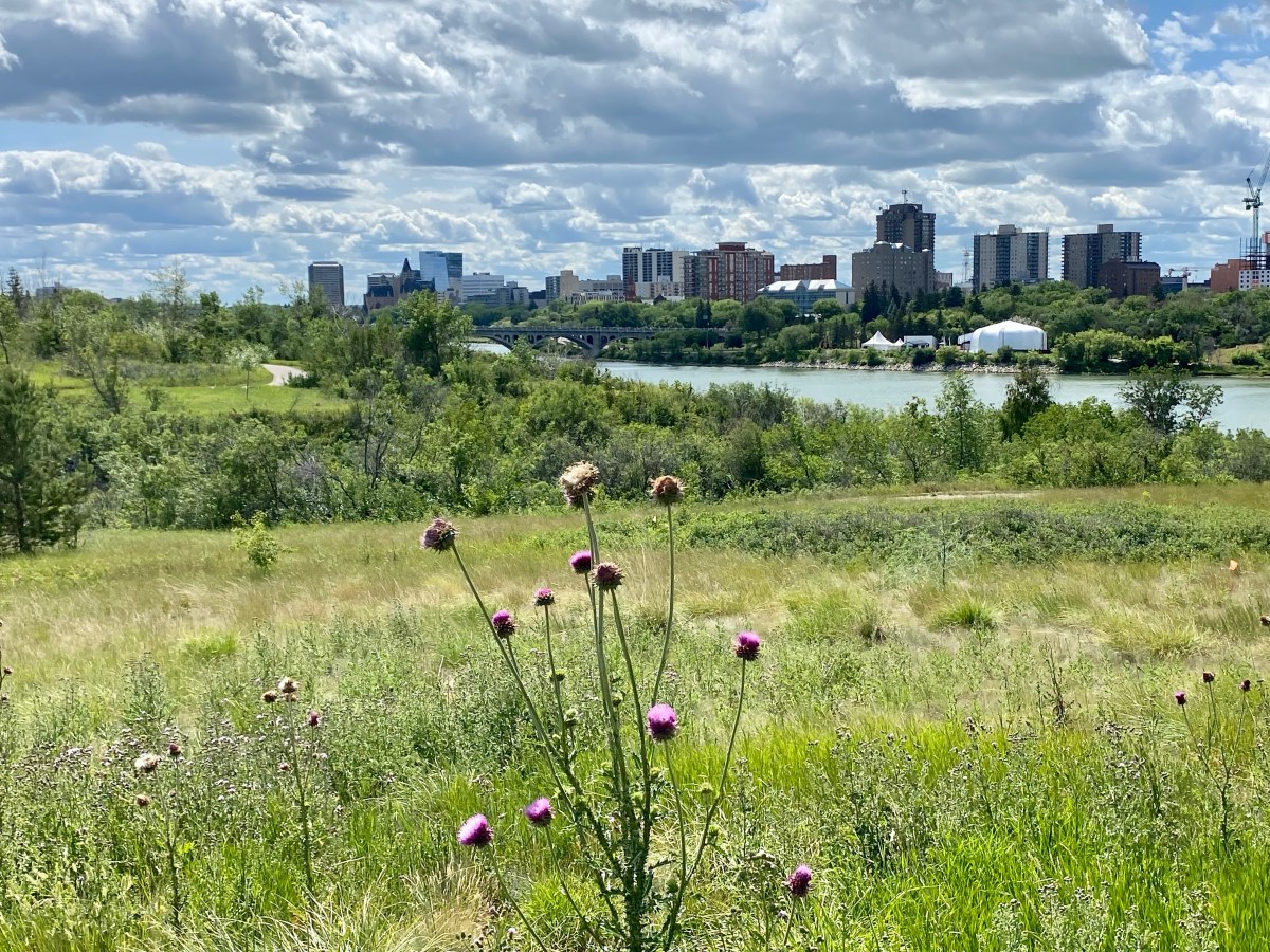 Saskatoon, Saskatchewan – Meandering My Way…