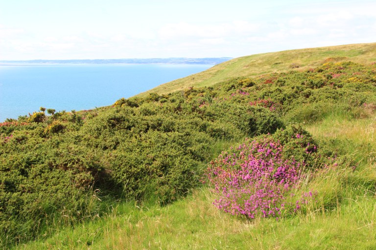 Exploring the Great Orme, Llandudno, Wales – Meandering My Way…